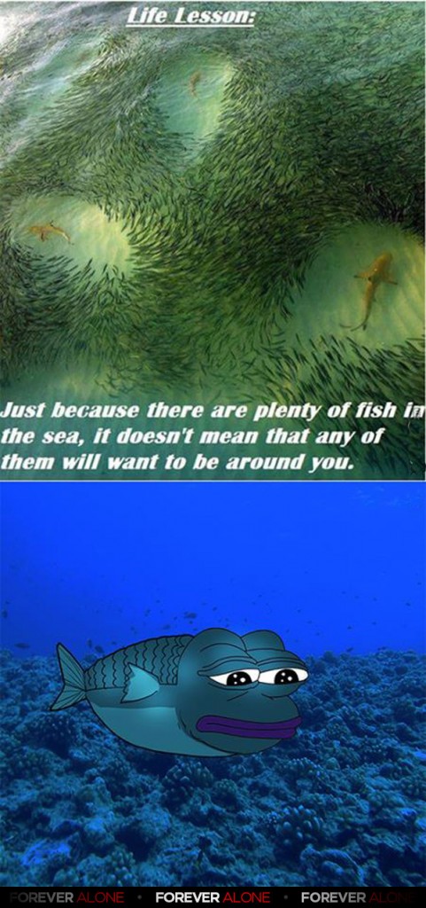 Fish In The Sea - Forever Alone : Forever Alone
