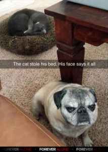 Grumpy Gus - Forever Alone : Forever Alone